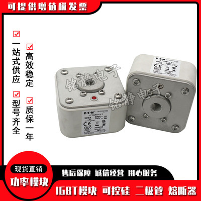 170M6413 170M6414 170M6415 170M6416 170M6417巴斯曼熔断器现货