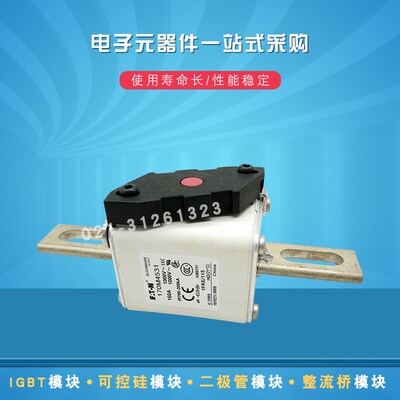 快速熔断器保险丝170M4519 4531 4532 4533 4534 4536 4537  4538