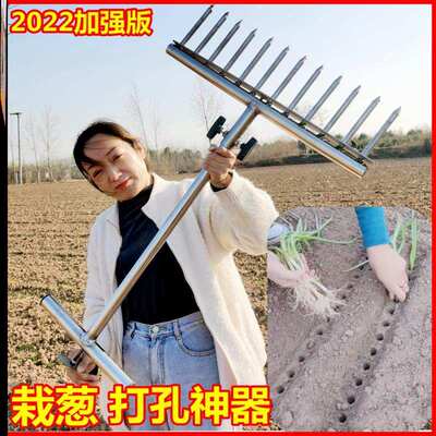 种菜苗工具种葱大葱种植叉子洋葱打眼打洞机移苗栽苗打孔器种菜器