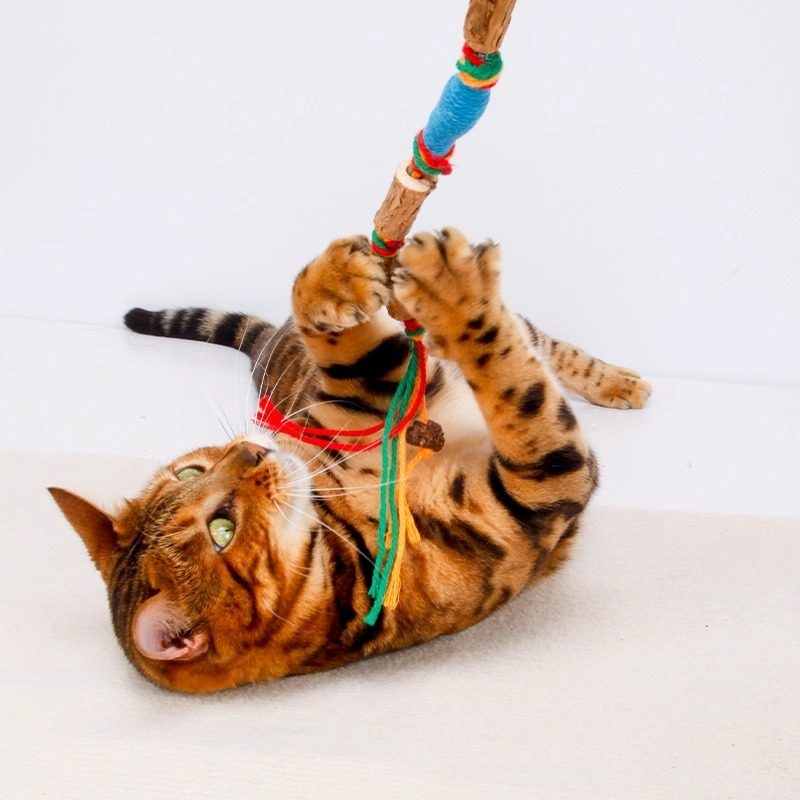 猫咪木天蓼虫瘿果咬咬绳自嗨解闷神器耐咬猫薄荷磨牙棒洁齿逗猫棒