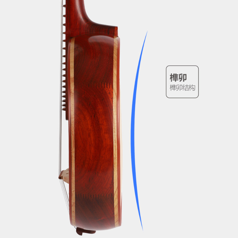 红花梨半度中阮1/2中阮学童练习琴 中阮乐器中阮弹拨乐器小阮乐器