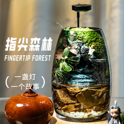 苔藓微景观真绿植流水生态缸摆件