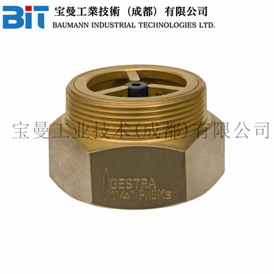 德国进口GESTRA止回阀SBO系列重力循环止回阀螺纹连接DN3/4 DN1/4