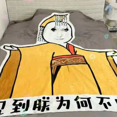 夏季空调毯龙图见到朕为何不跪搞怪毯子宿舍床上午睡表情包毛毯