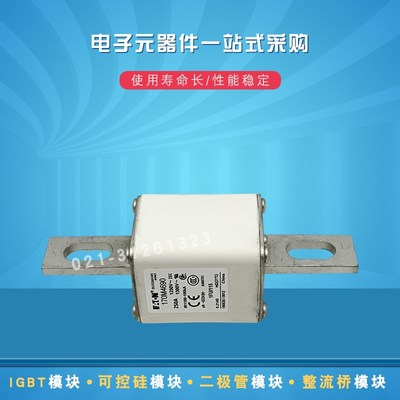巴斯曼熔断器保险丝170M4690 4691 4692 4693 4694 4695 4696全新
