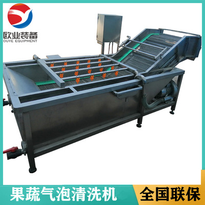 琵琶果蔬清洗机樱桃山梨果蔬气泡清洗机果蔬油菜气泡清洗机厂家
