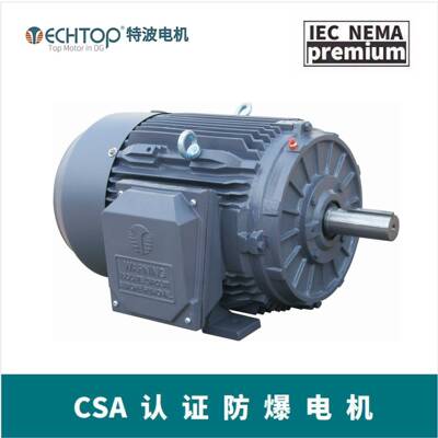 船级社认证电机TECHTOP三相电动机1.1W220VIEC/NEMA电