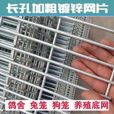 加粗镀锌铁丝网片鸽舍地网狗笼子围栏网防护栏安全网长孔铁网格网