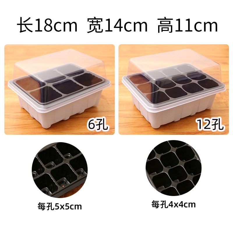 扦插育苗穴盘育苗神器专用盆营养杯塑料钵长方形托盘芽菜盒箱苗盘