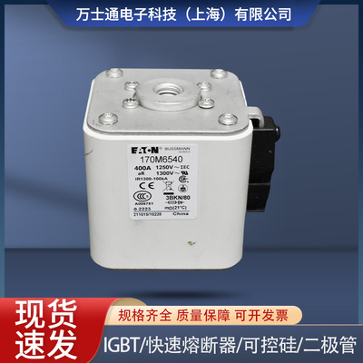 熔断器170M6538 170M6539 170M6540 170M6541 170M6542 170M6543