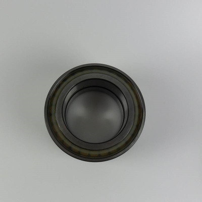 SL045004PP双列满装圆柱滚子轴承NNF5004DAD-2LSV轴承生产厂家