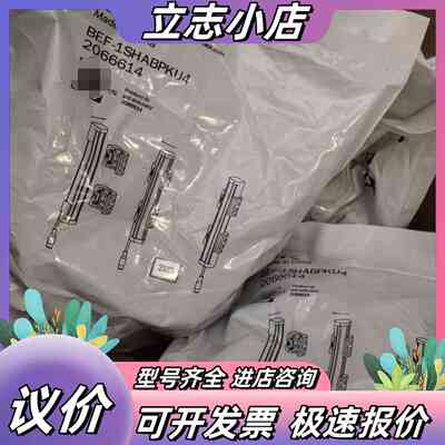 西克原厂原装，光栅支架BEF-1SHPKU4，20666议价