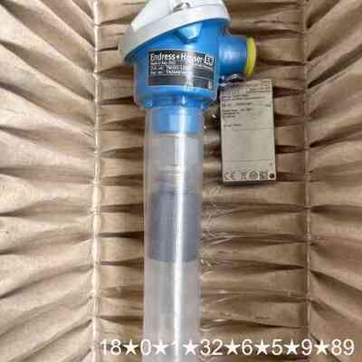 EH TM101温度计 TM101-AACCA8BA2H1