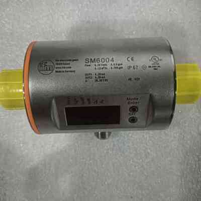 IFM易福门SM6004
