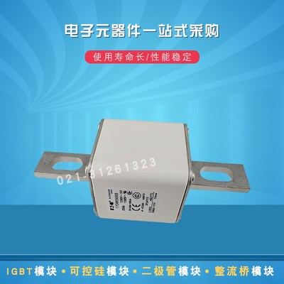 快速熔断器保险丝170M5664 5665 5666 5667 5668 5669 5690 5691