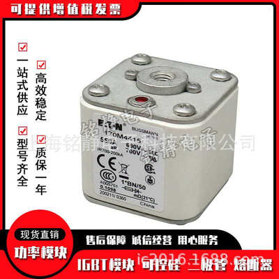 170M4558 170M4559 170M4560 170M4561巴斯曼170M4562熔断器现货