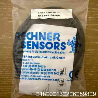 Rechner电容传感器 KAS-80-A13-A-K-NL议价