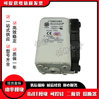 170M3558 170M3559 170M3560 170M3561 170M3562 170M3563熔断器