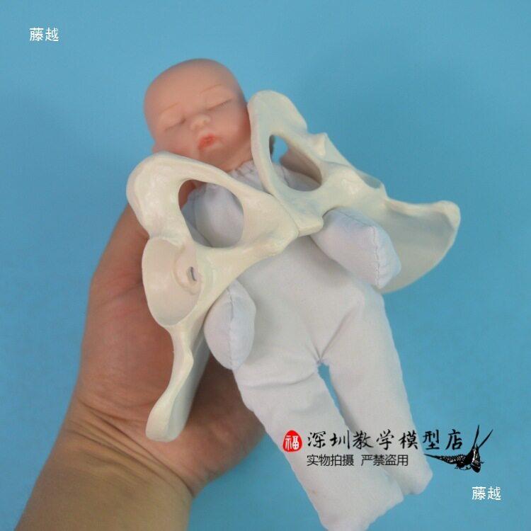 骨盆模型迷你假分娩骨盆模型卫生院娃娃分娩示范示教婴儿石膏其他