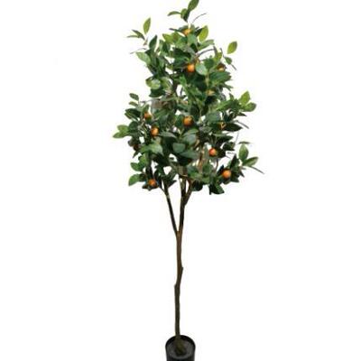 仿真橘子树仿真AL-62112植物树带果金桔盆栽塑 北欧橘风格ins人造