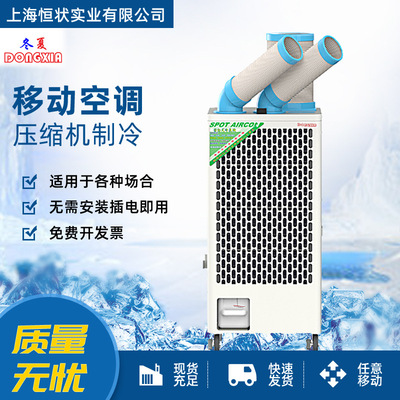 冬夏工业冷气机SAC-45二管可移动式工业空调冷风机制冷工业冷气机