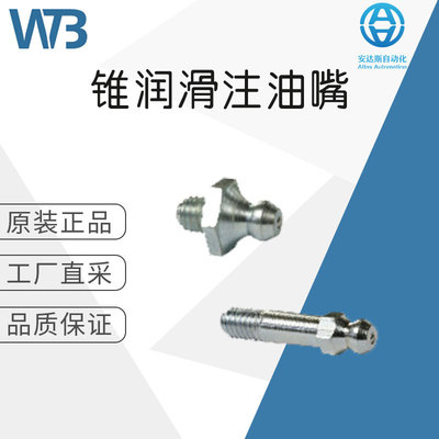 工厂直采 德国 WTB锥润滑注油嘴 DIN 71412 A (H1)  多型号