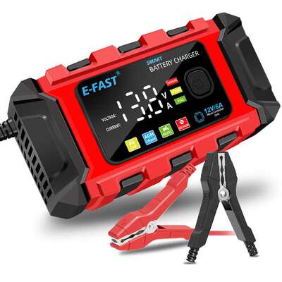 E-FAST Lead Iron  LiFePo4 Battery Charger 12V Automotive Bat