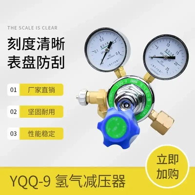 上海减压器 YQQ-90.4*25MPa 氢气减压器 氢气表 减压阀