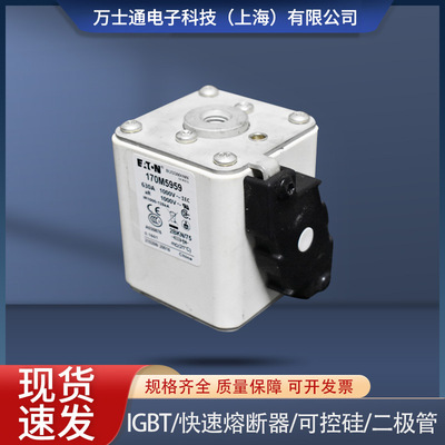 170M5952/5953/5954/5955/5956/5957/595/5959/5960/5961熔断器