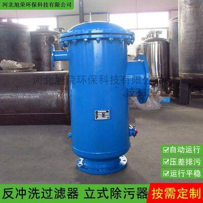 全自动反冲洗除污器管道过滤器ZPG立式卧式直通角通快速除污器