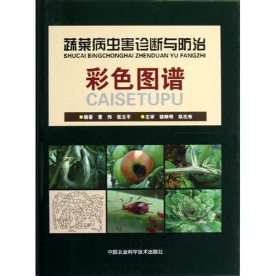【正版书】 蔬菜病虫害诊断与防治彩色图谱 董伟 编 中国农业科学技术出版社