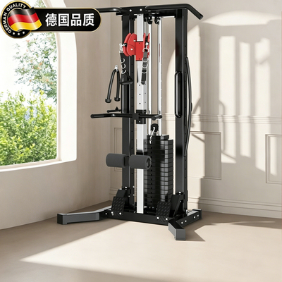 德国单边飞鸟龙门架家用小型力量