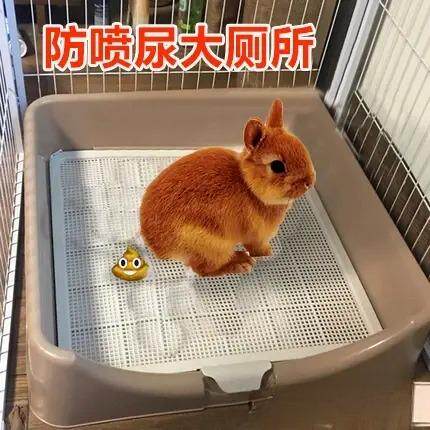 兔子厕所大号防喷尿围栏宠物小兔兔荷兰猪拉屎尿大小便盆专用厕所