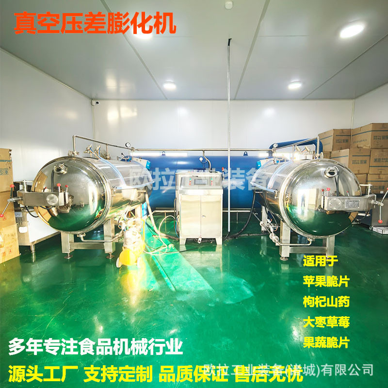 无油果蔬脆加工设备 肉干柿子脆片膨化设备 全自动压差膨化机