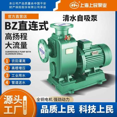 上海BZ直连式自吸离心泵直联大流量工业抽水机农业浇溉水泵