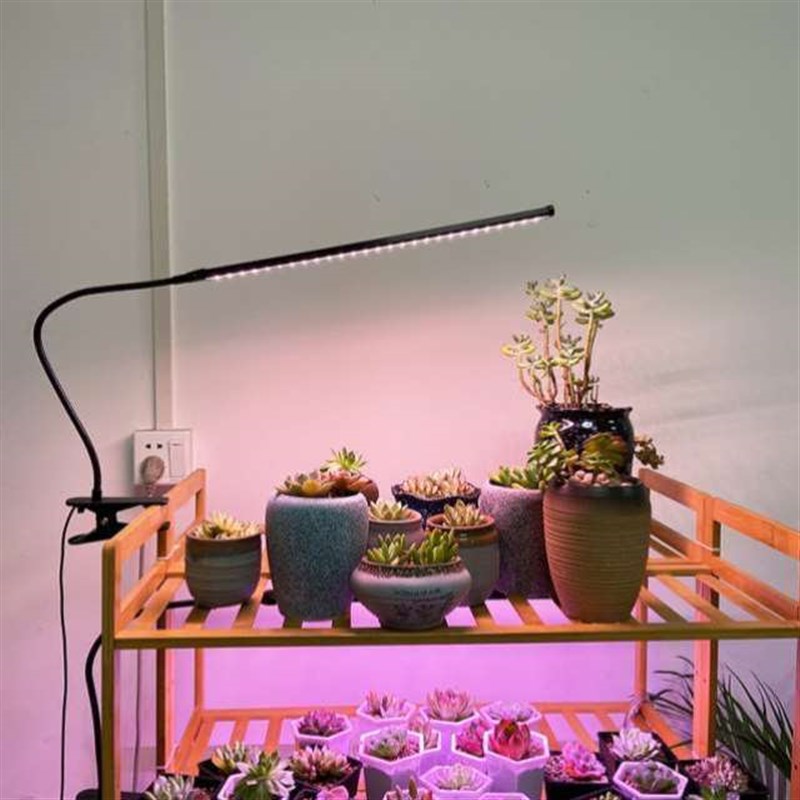 迈睿星USB夹子式多肉补光灯家用上色全光谱LED花卉盆景植物生长灯