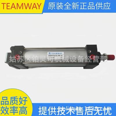 TEAMWAY气压缸TA32N125-A-S DNB50M55-CG-LN02A-2 DNB40M680SH