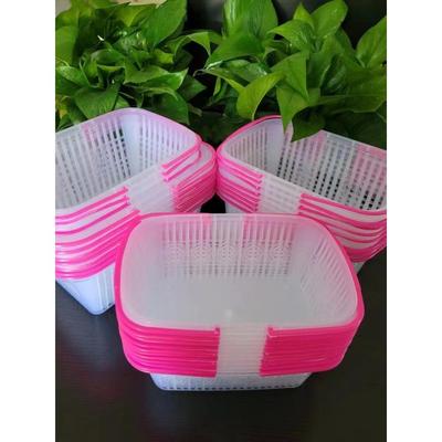 50Pcs草莓篮杨梅篮塑料便携式水果篮新材料白橙葡萄采摘