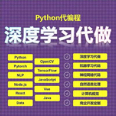 Python代编程深度学习模型训练遥感医学图像识别机器学习覆现创新