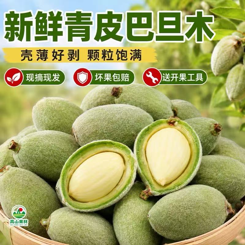 新鲜巴旦木现摘湿巴旦木带青皮绿皮生巴旦木扁桃仁新鲜大杏仁包邮