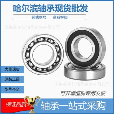 哈尔滨HRB 轴承60024602 628BWZ 6030 6032 6034 60366C3 P5哈轴