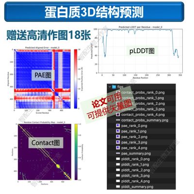 蛋白质3D结构预测/AlphaFold2&3服务/相互作用预测