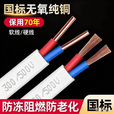 国标纯铜电线双芯BVVB/RVVB铜芯护套线2.5/4/6平方电缆家装