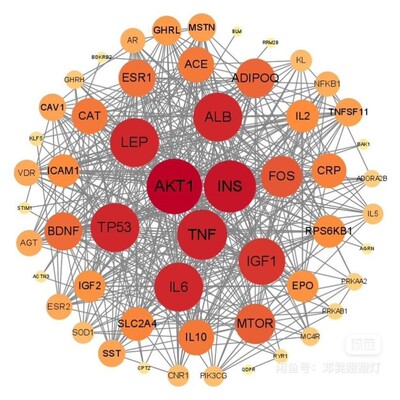 Ppi,蛋白互作,cytoscape, hub gene,网络药理学,聚类热图