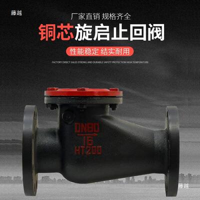 H44-16旋启式止回阀 铁铜芯法兰止回阀DDDIN0 50 80 100 1铸T50 2