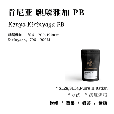 accoffe肯尼亚麒麟雅加咖啡豆