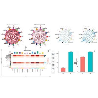 生信分析2-9分转录组多组学数据分析
