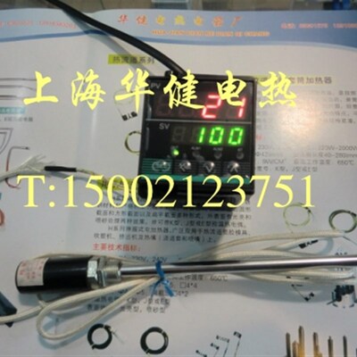 CH401-011-0111013温控仪 温控器 温控表 48*48 继电器