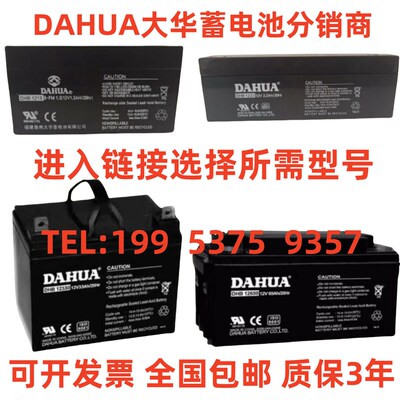 DAHUA大华蓄电池 DHB12180 12V7A12A17A26A33A38A40A65A100AH消防