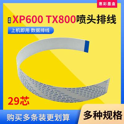 爱普生XP600 TX800写真机29芯喷头排线 奥德利 普捷 佰捷 数据线